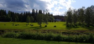 Reisetagebuch - Tag 7 - Hammerdal Schweden | Camping rockt